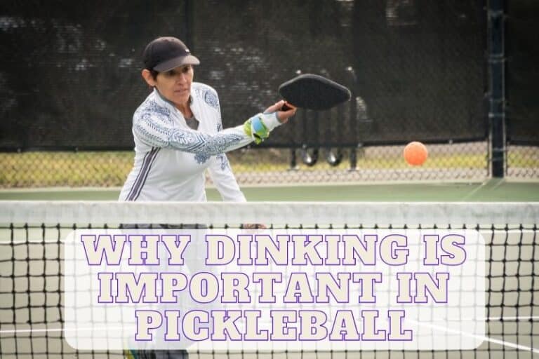 What is a Dink in Pickleball? Mastering the Key Shot